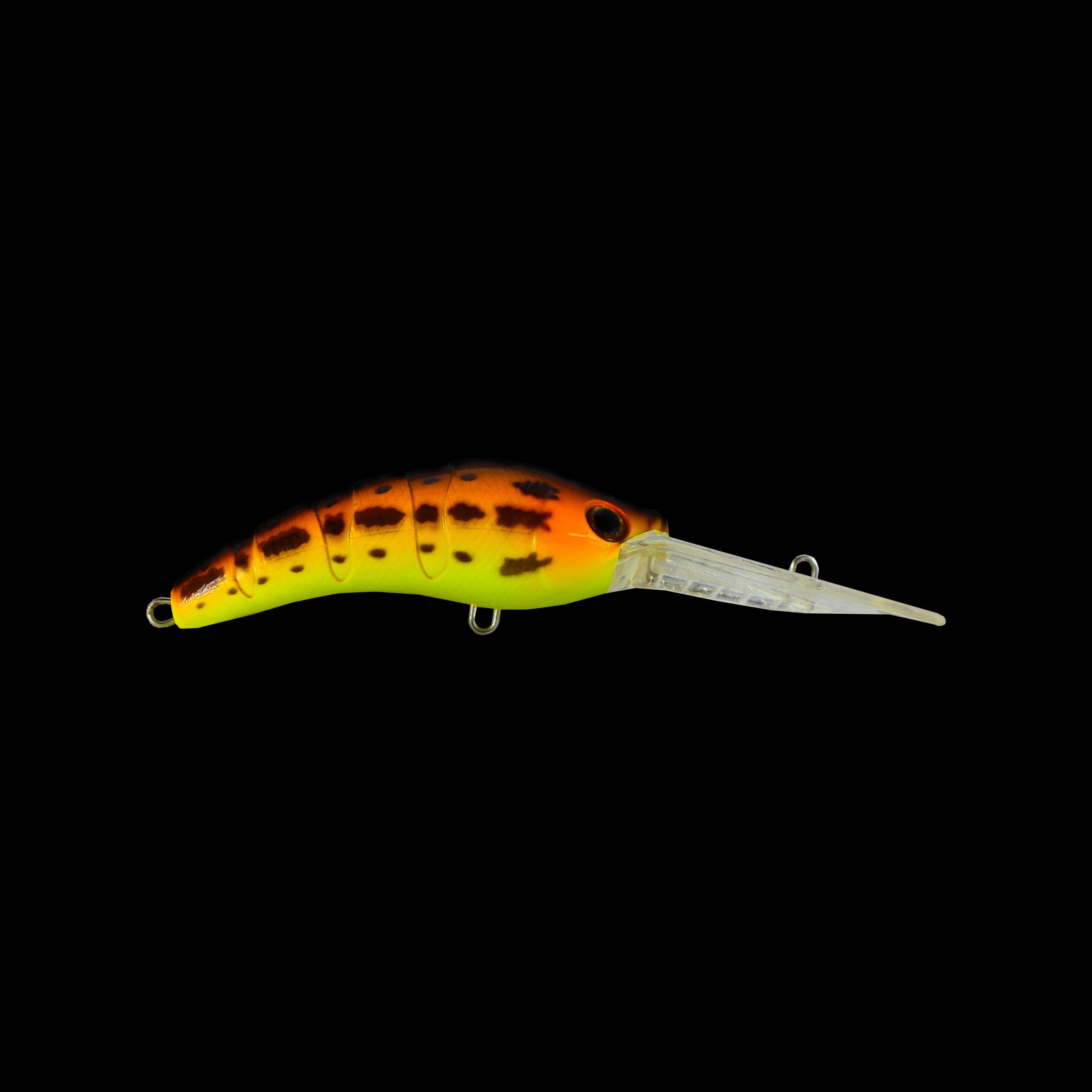 SUMO Outback voted most popular lure colour – OneWell Fishing